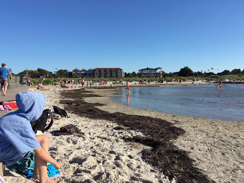 Stein Strand – Mein Meer – das Familienmagazin von der Küste