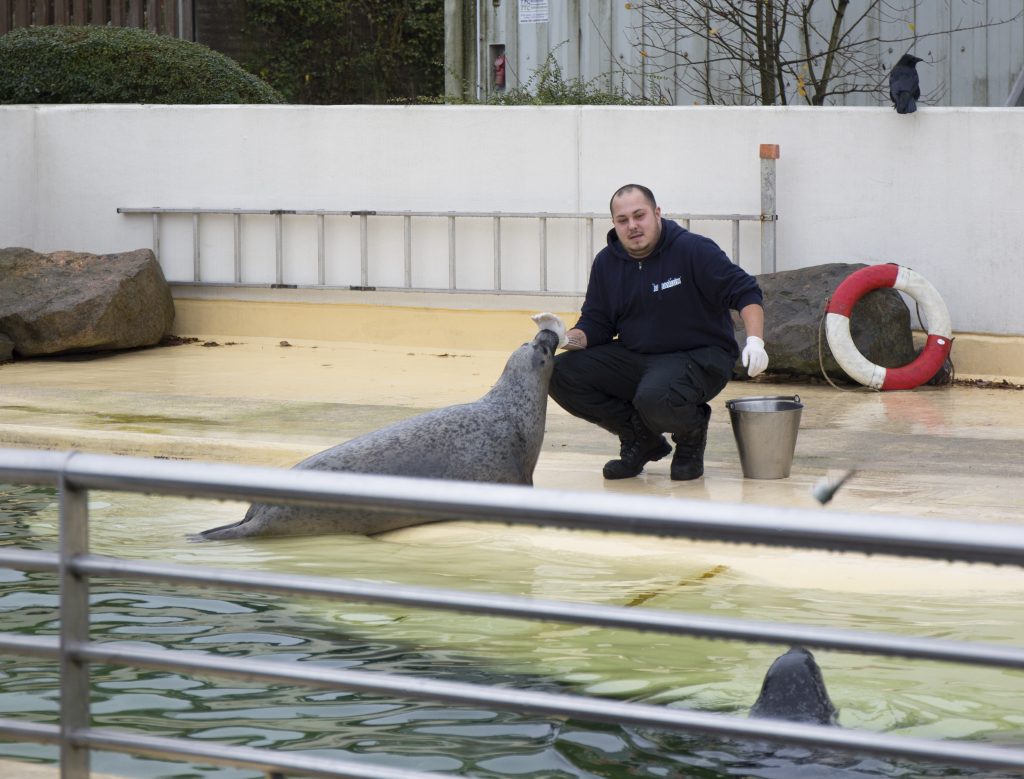 Aquarium Kiel: Wo Fischstäbchen schwimmen und Seeigel picksen – Mein ...