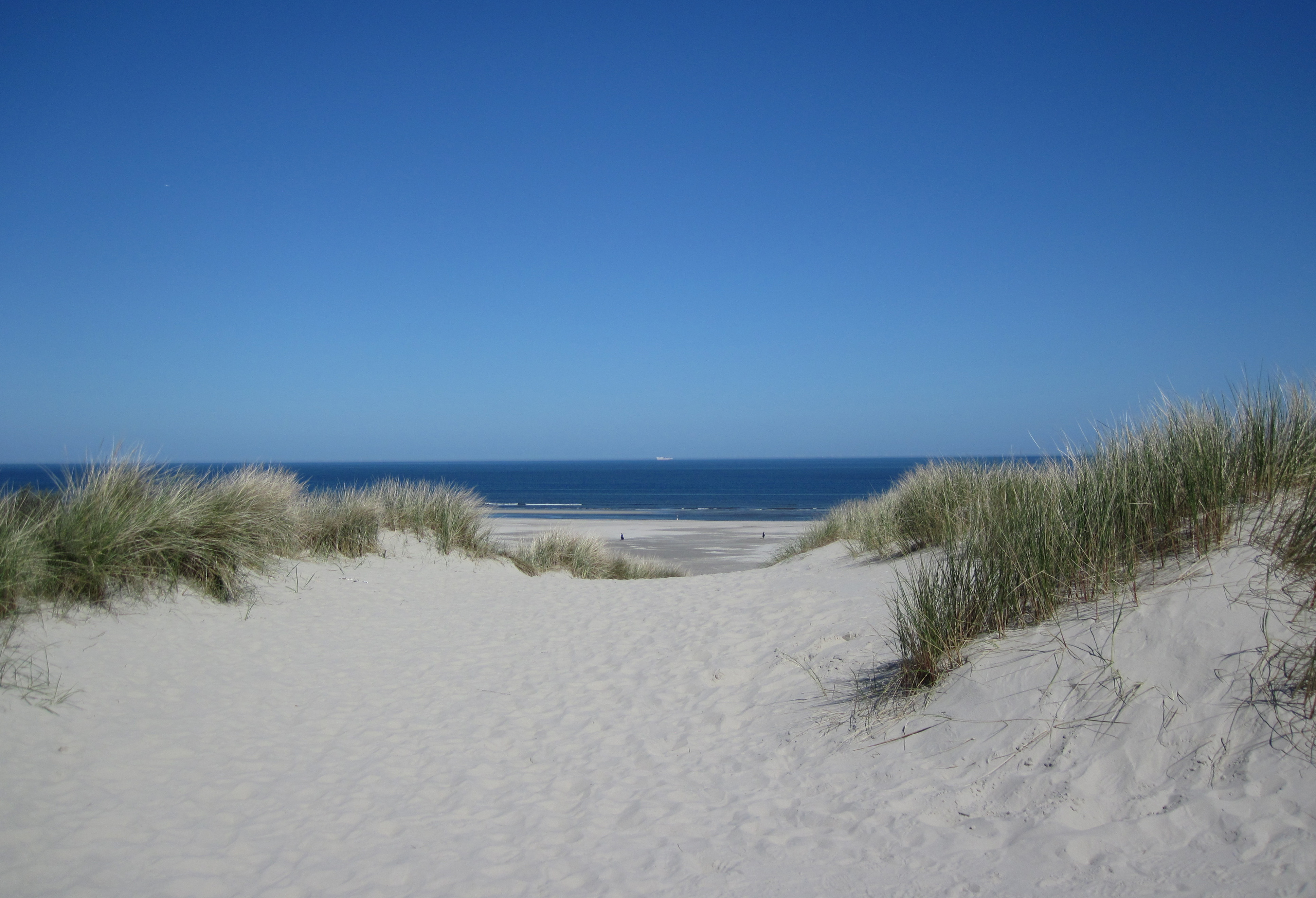 juist – Mein Meer – das Familienmagazin von der Küste